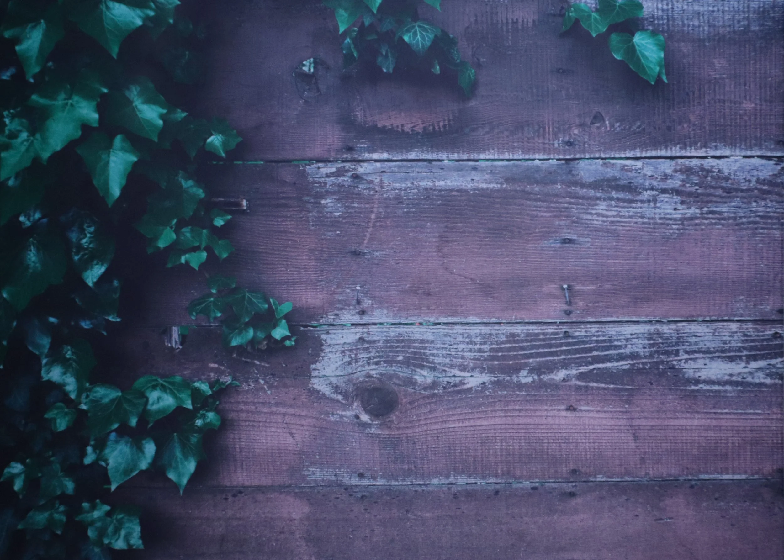 Backdrops — Party Pix Photo Booth