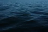 Ocean Dental Lab
