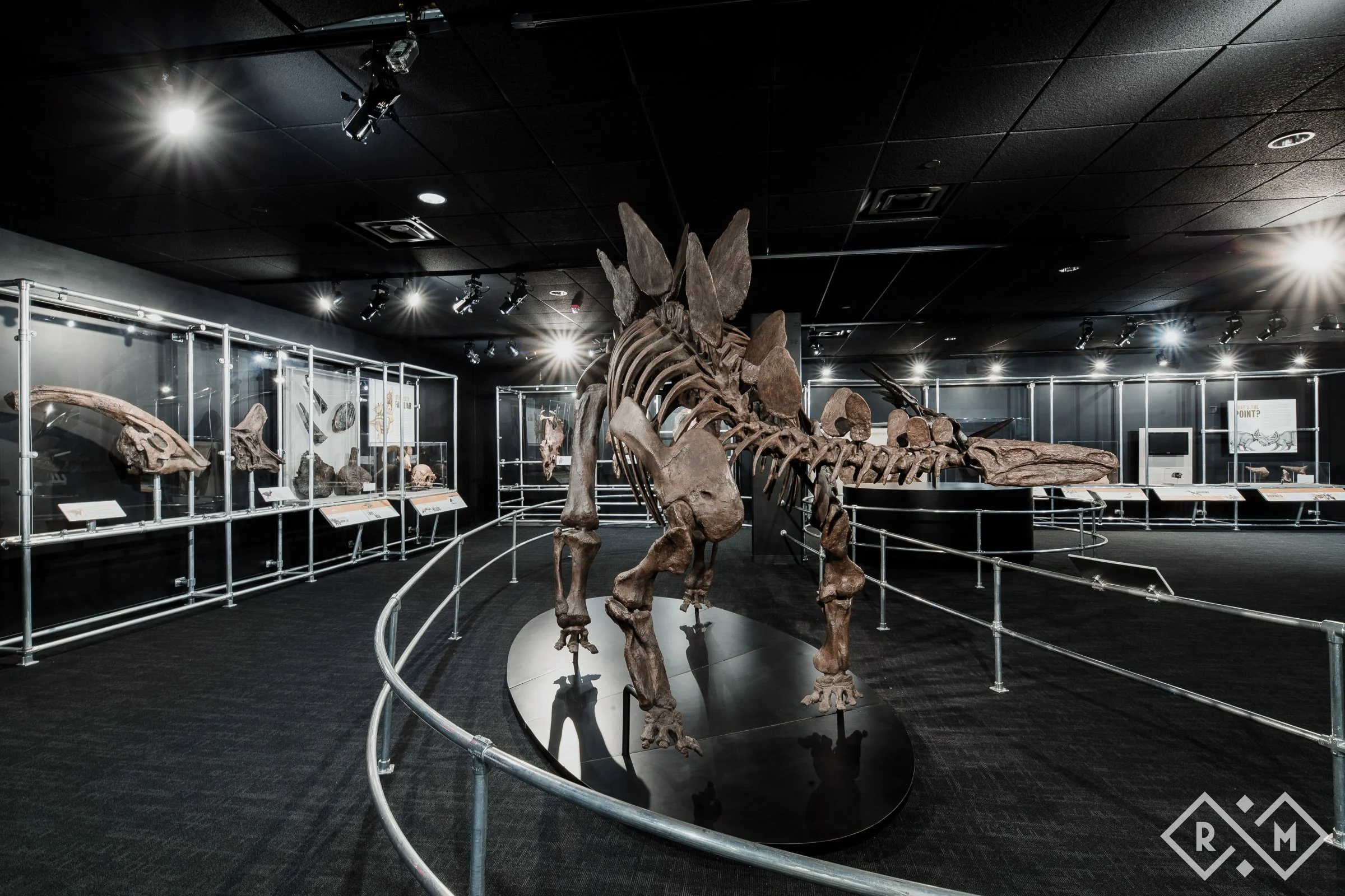 Dinosaur Exhibit at COSI - Commercial Photography Columbus, Ohio ...