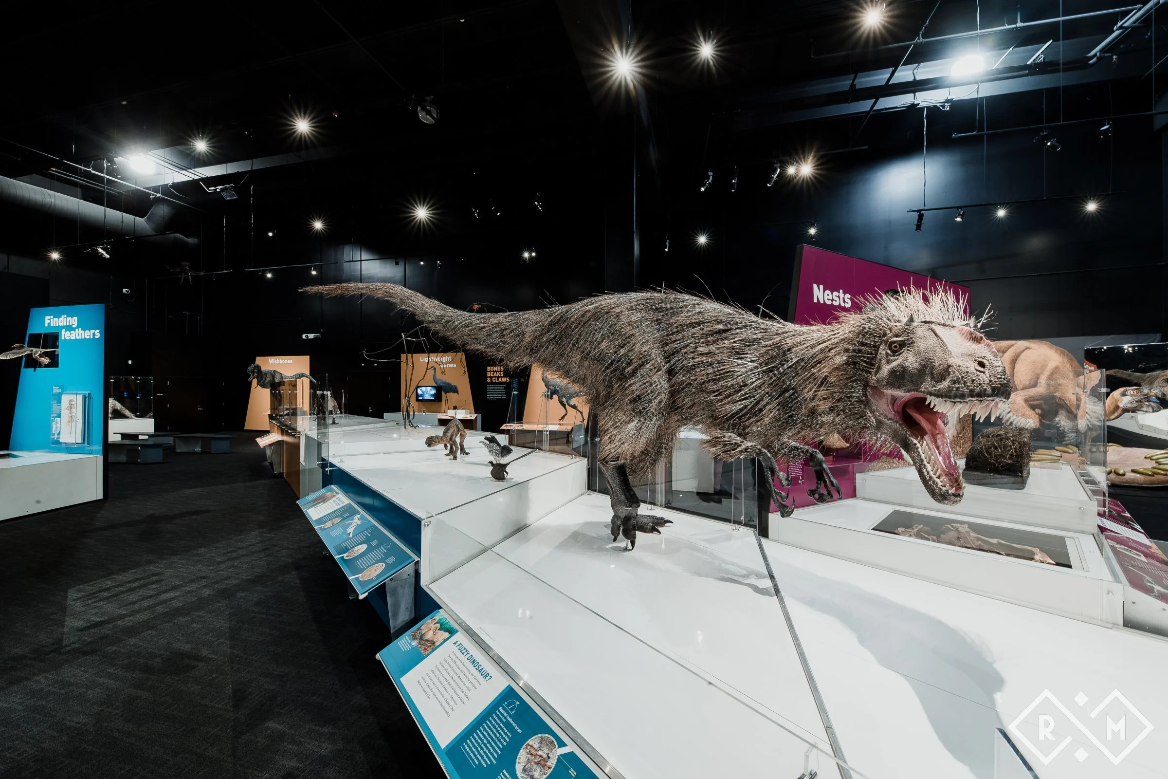 Dinosaur Exhibit at COSI - Commercial Photography Columbus, Ohio ...