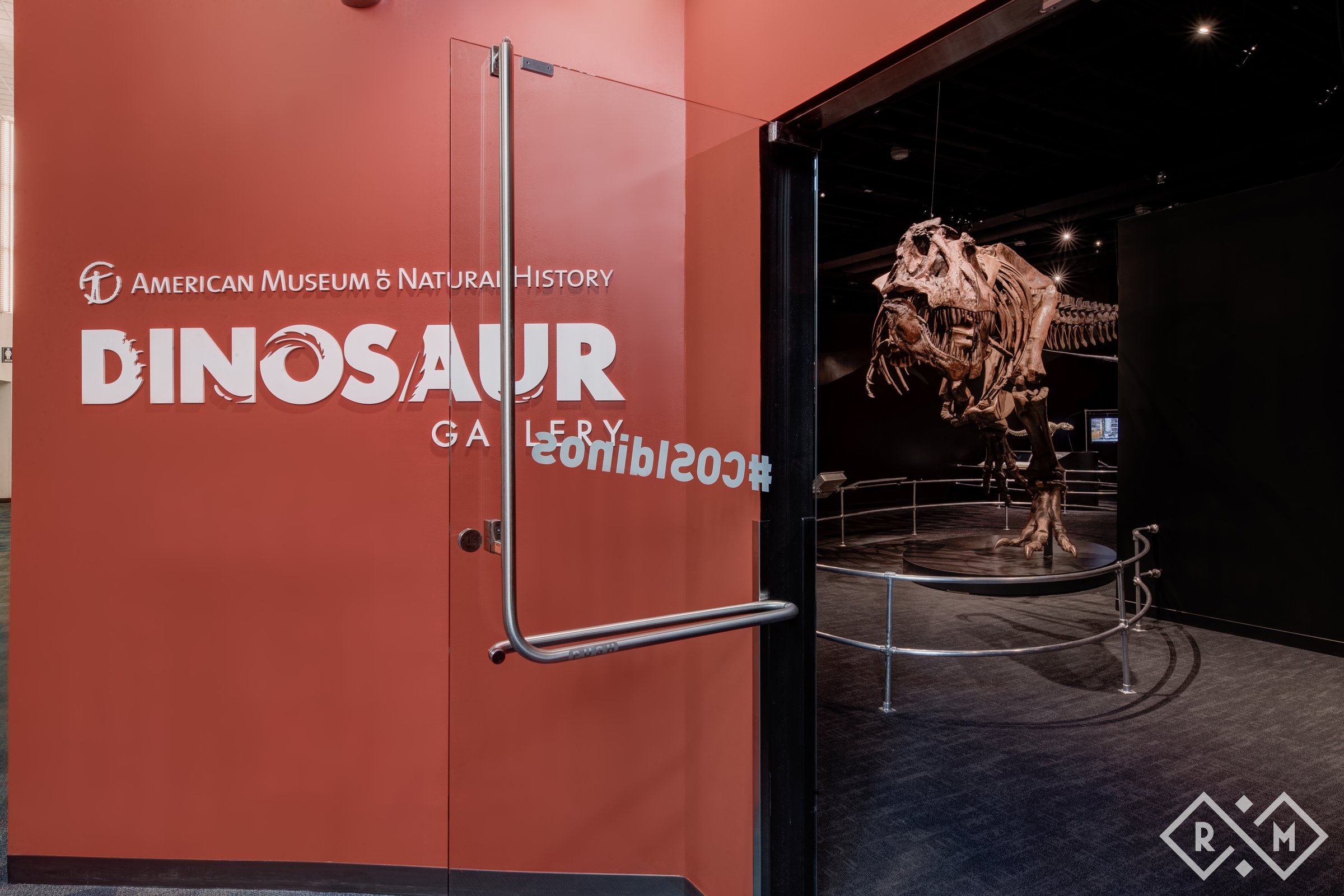 Dinosaur Exhibit at COSI - Commercial Photography Columbus, Ohio ...