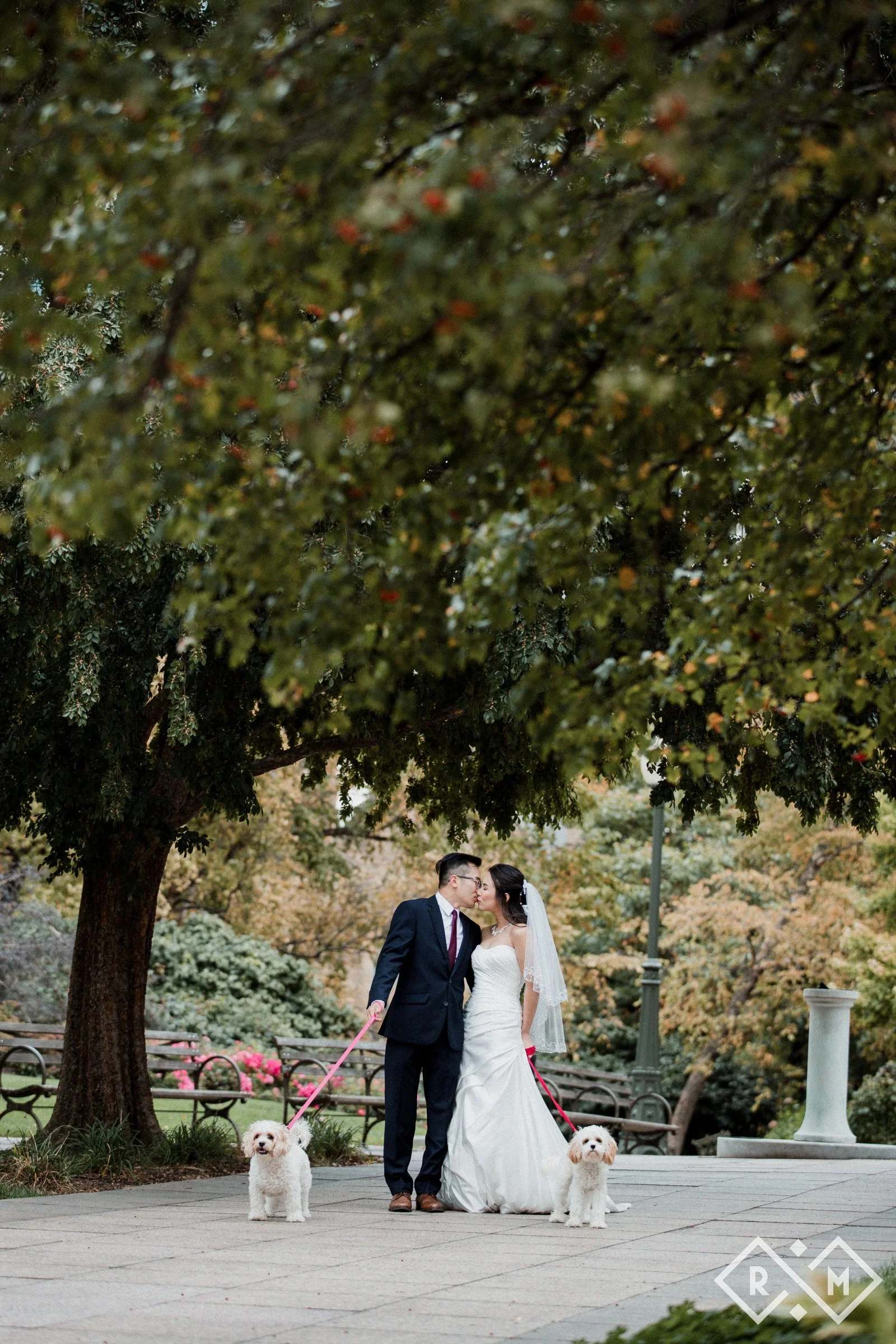 Engagement and Wedding Photography Columbus, Ohio — Professional ...