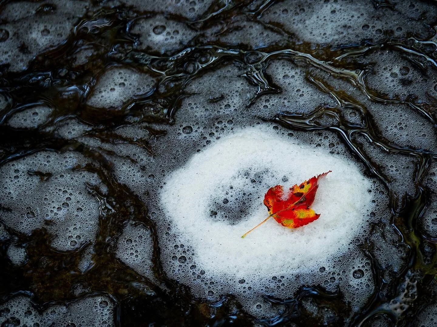 Colleen Miniuk Photography & Writing