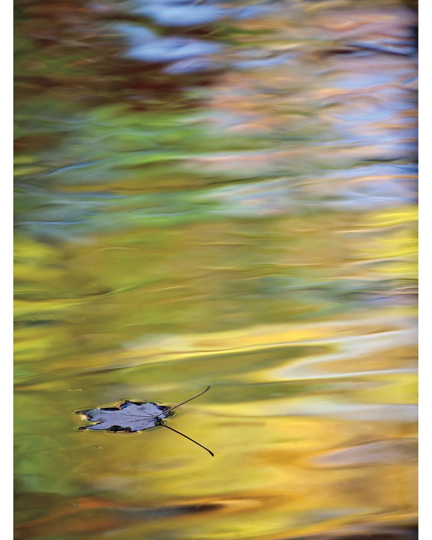 Colleen Miniuk Photography & Writing