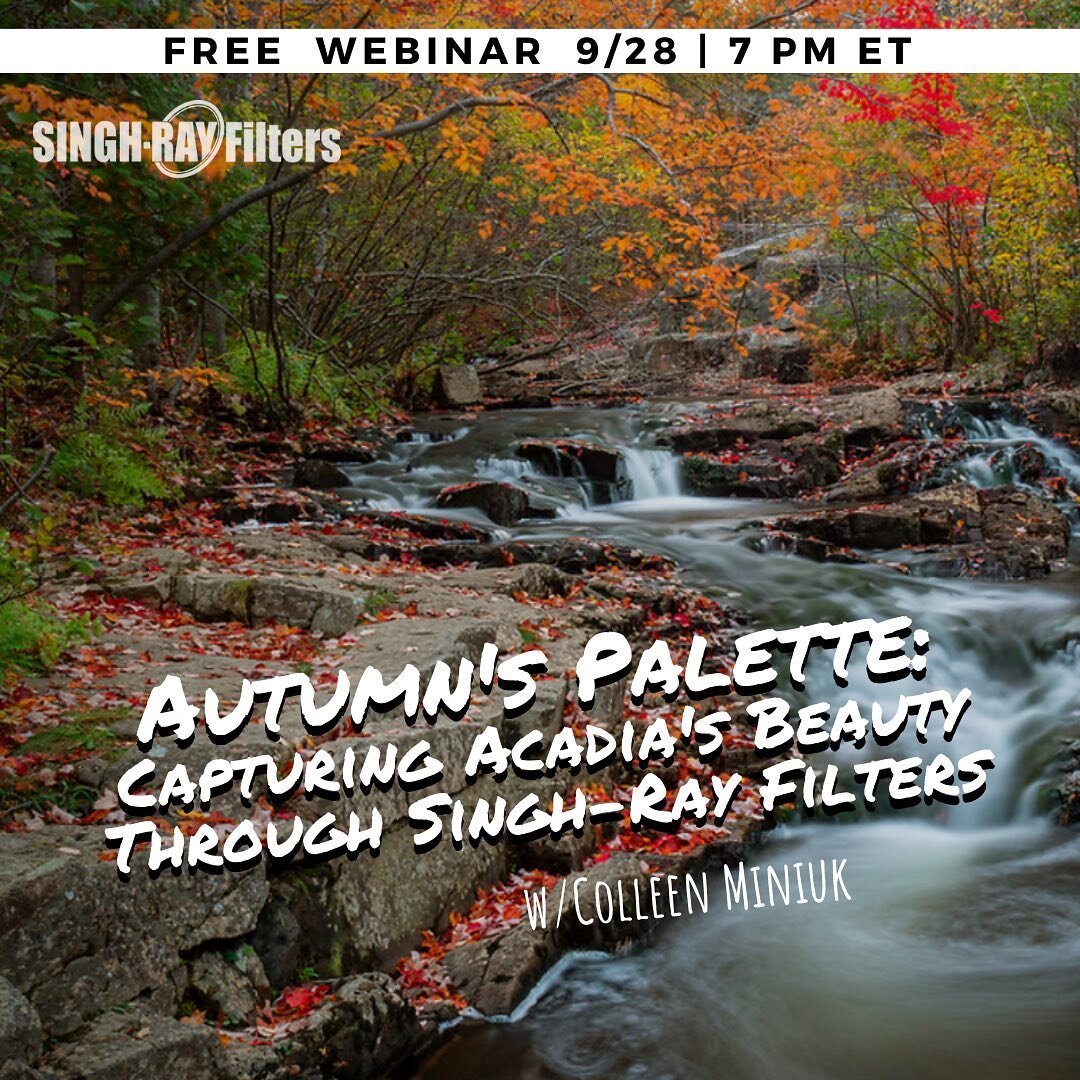 Colleen Miniuk Photography & Writing