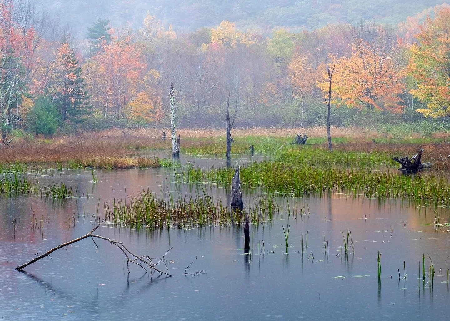 Colleen Miniuk Photography & Writing