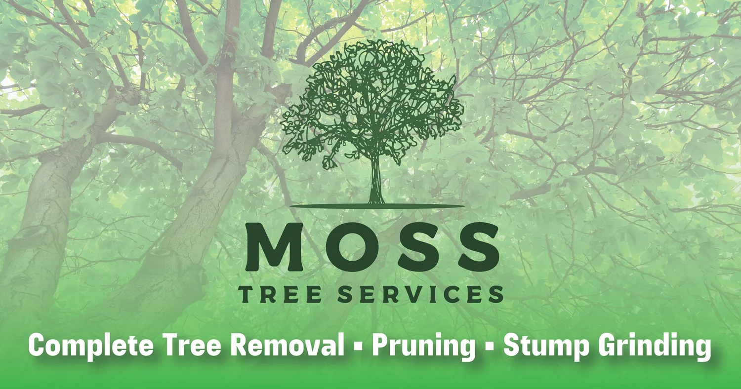 Mitchell's Landscaping Company