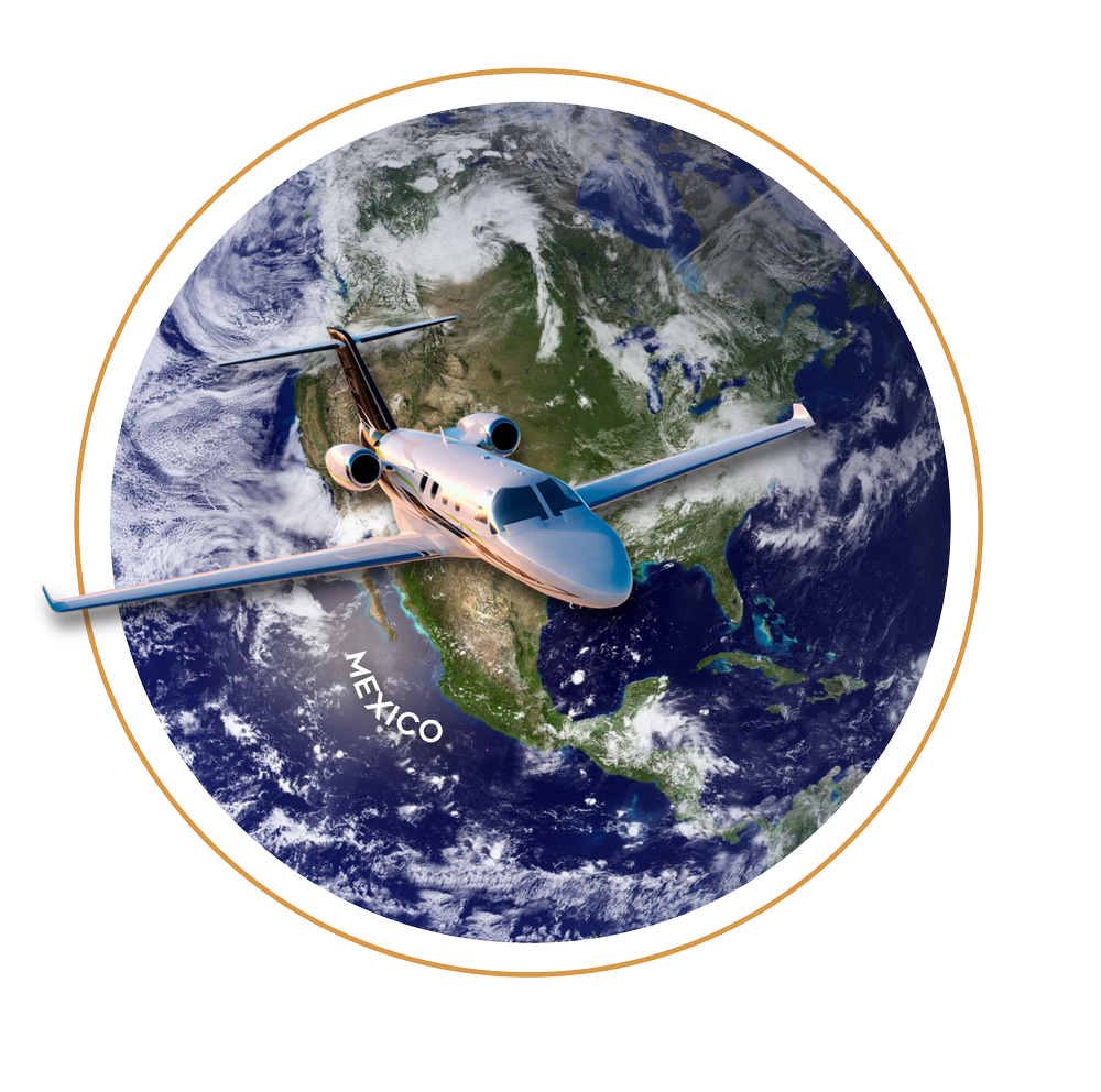 Online Services | Streamline Your Flight Planning — Get Started Today ...