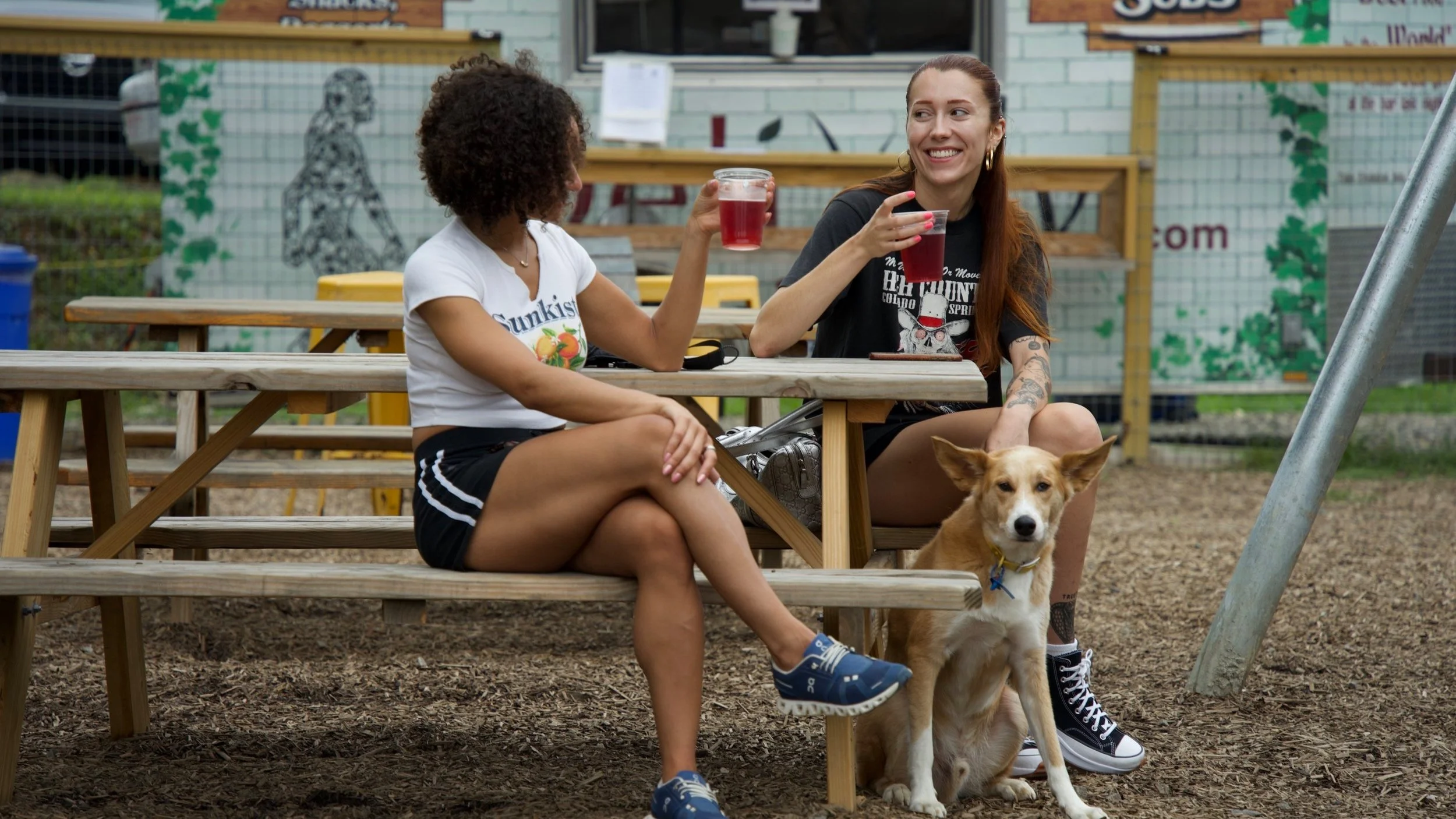 Pet & Dog Franchise Opportunities | Outdoor Dog Park Bar Business for ...
