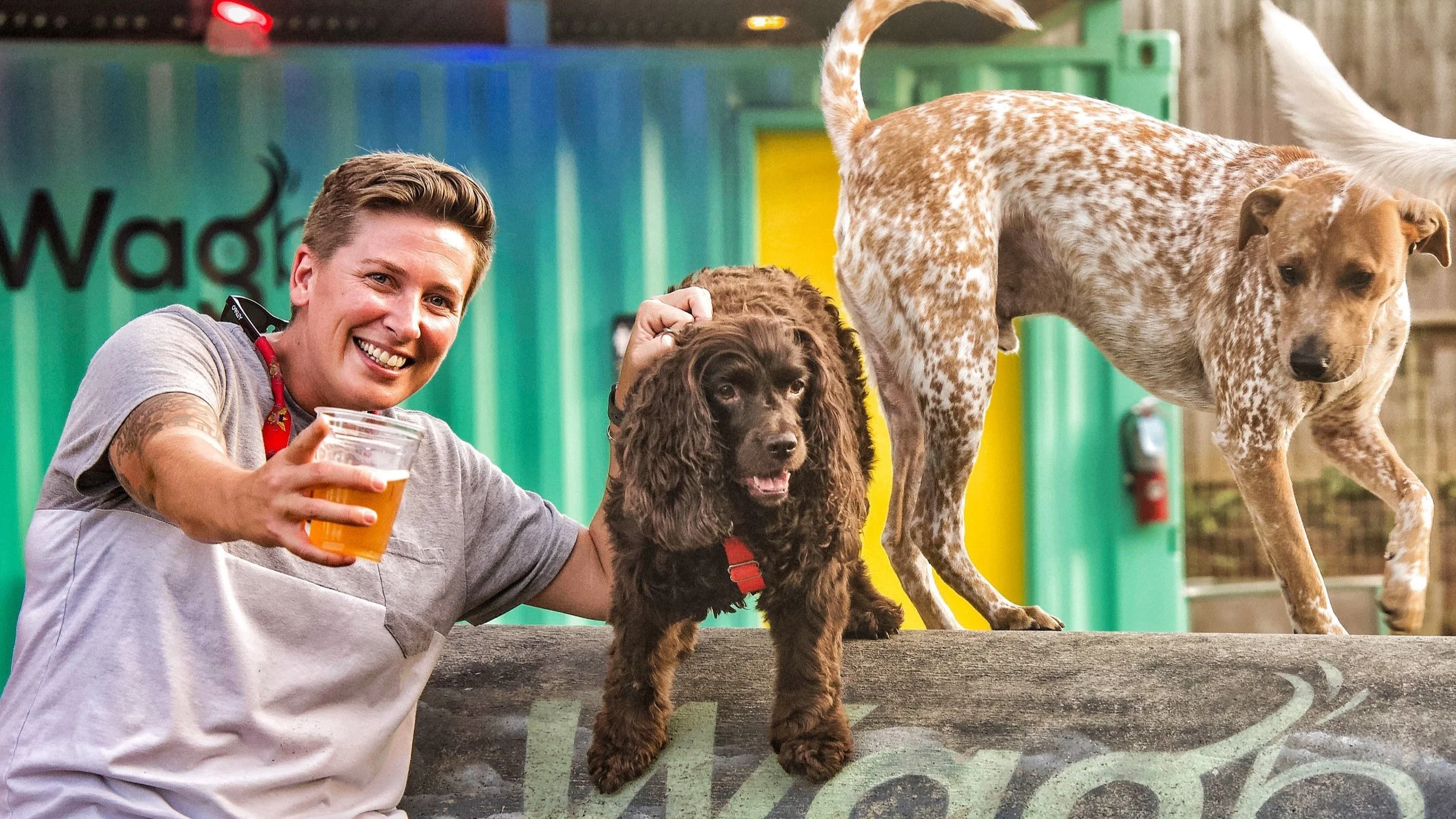Wagbar - Off Leash Dog Bar | Dog Friendly Bars & Park Asheville, NC