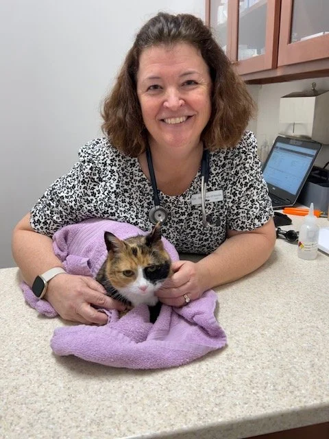 Our Team — Chester County Cat Hospital