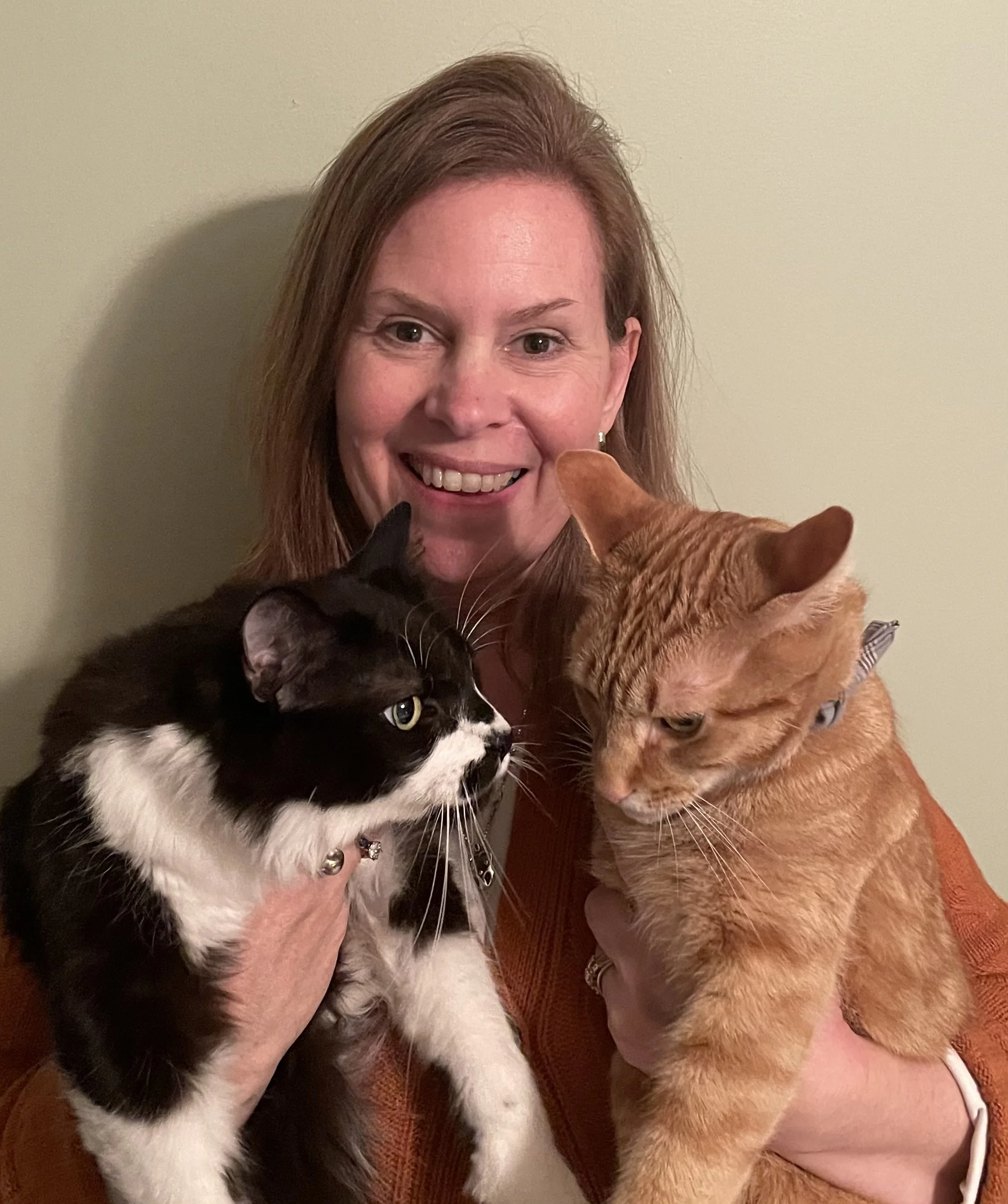 Our Team — Chester County Cat Hospital