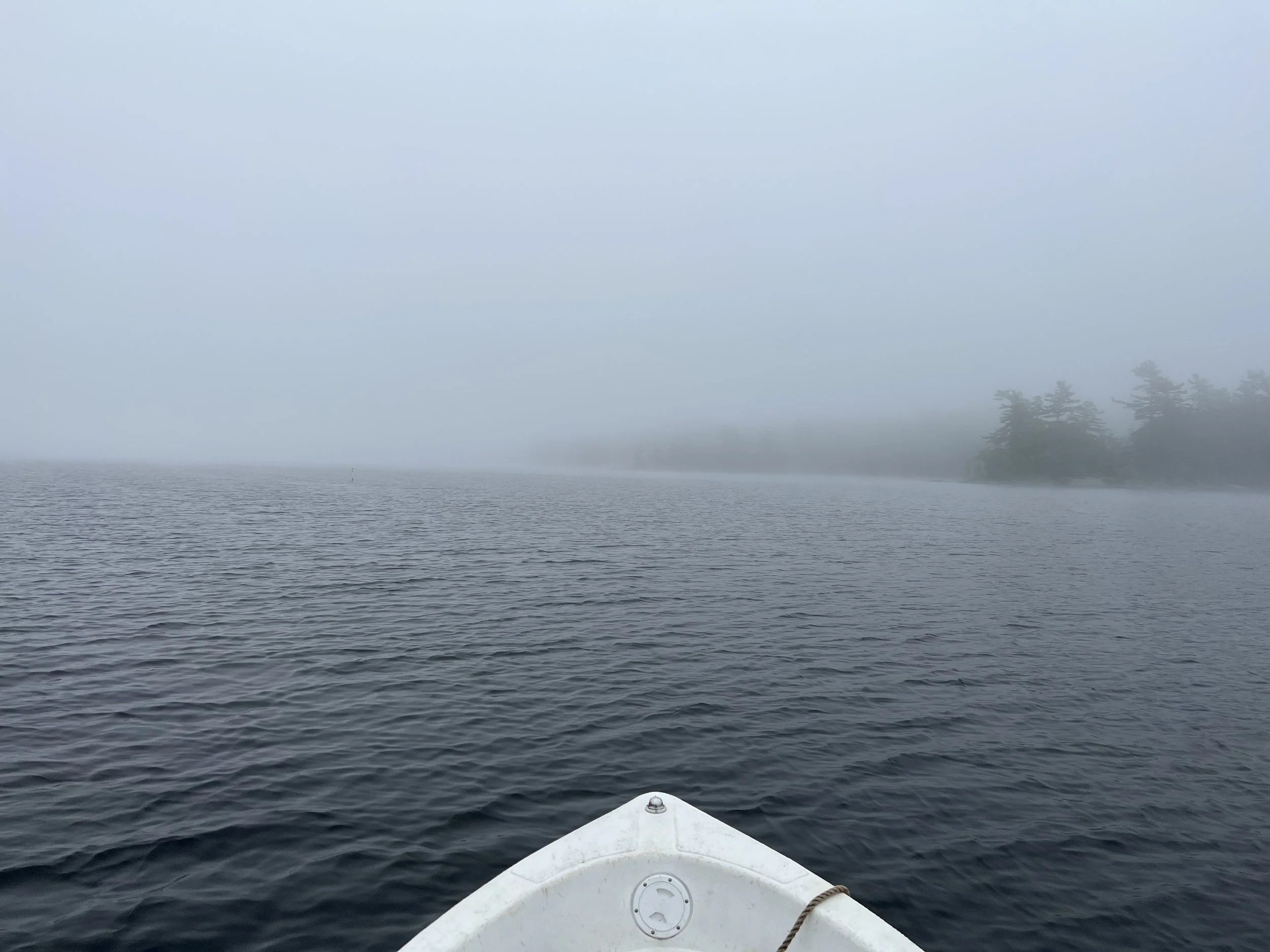 Official Loon Count Results — Megunticook Watershed Association