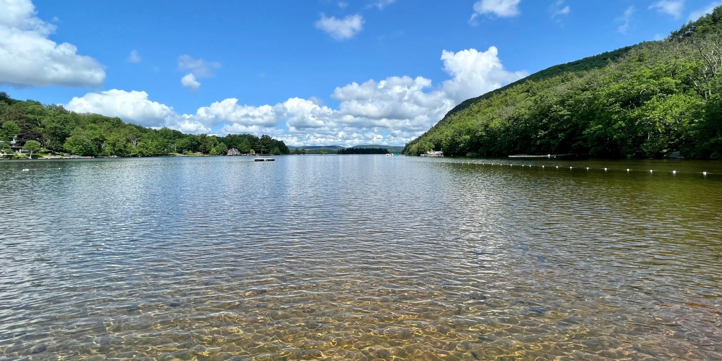 Megunticook Watershed Association