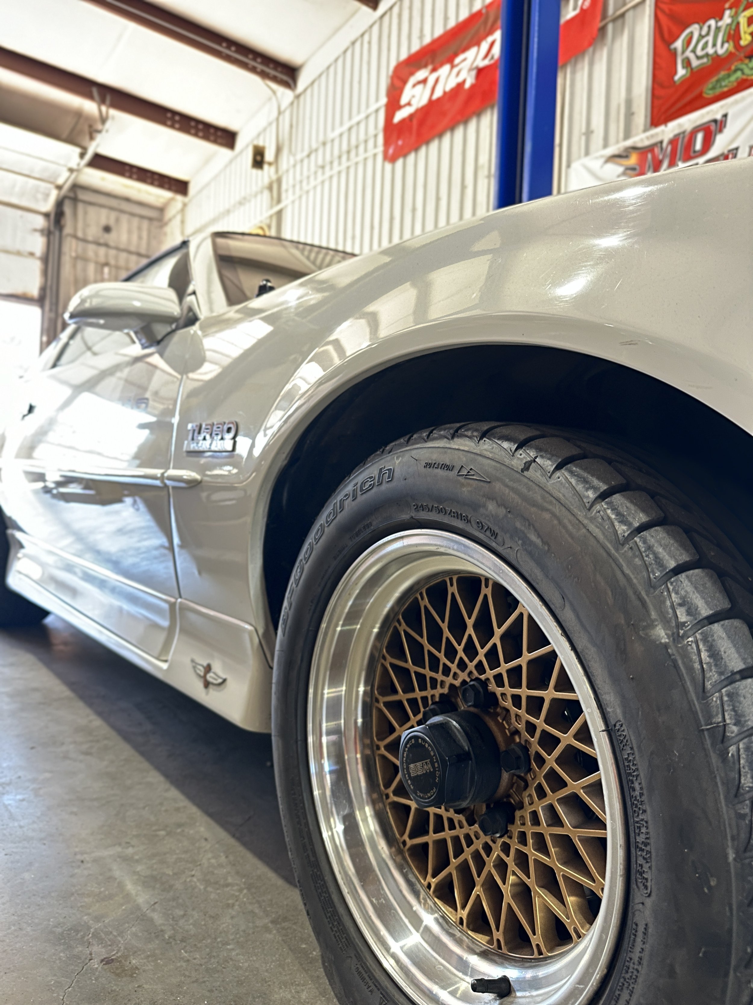 Mo' Muscle Cars | Experience Automotive Excellence : Mo' Muscle Cars