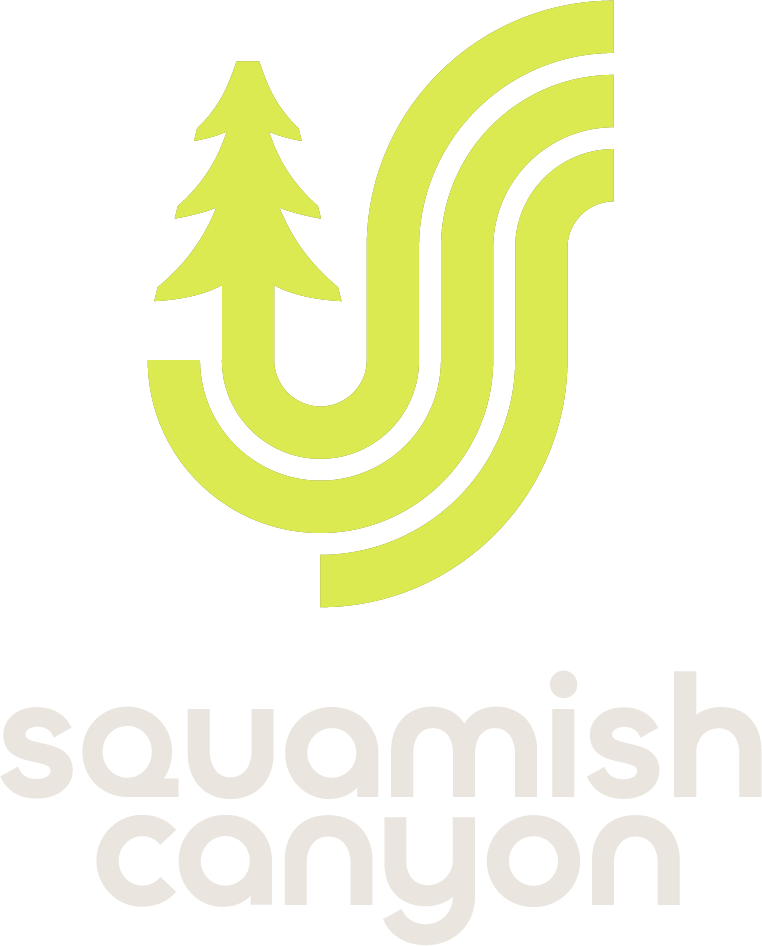 Squamish Canyon — Ridge North America