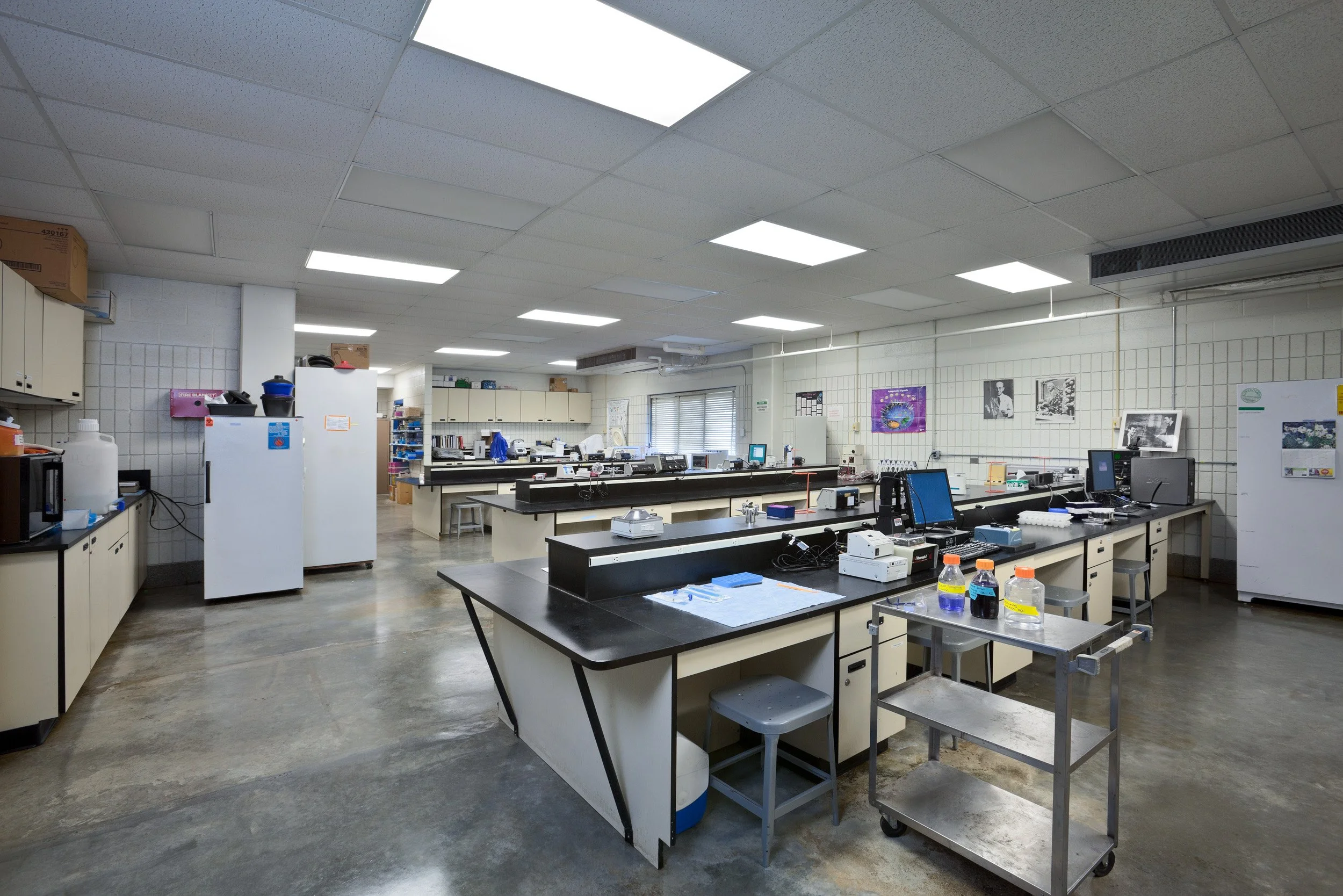 University of New Haven Dodd's Hall — Petra Construction Corporation