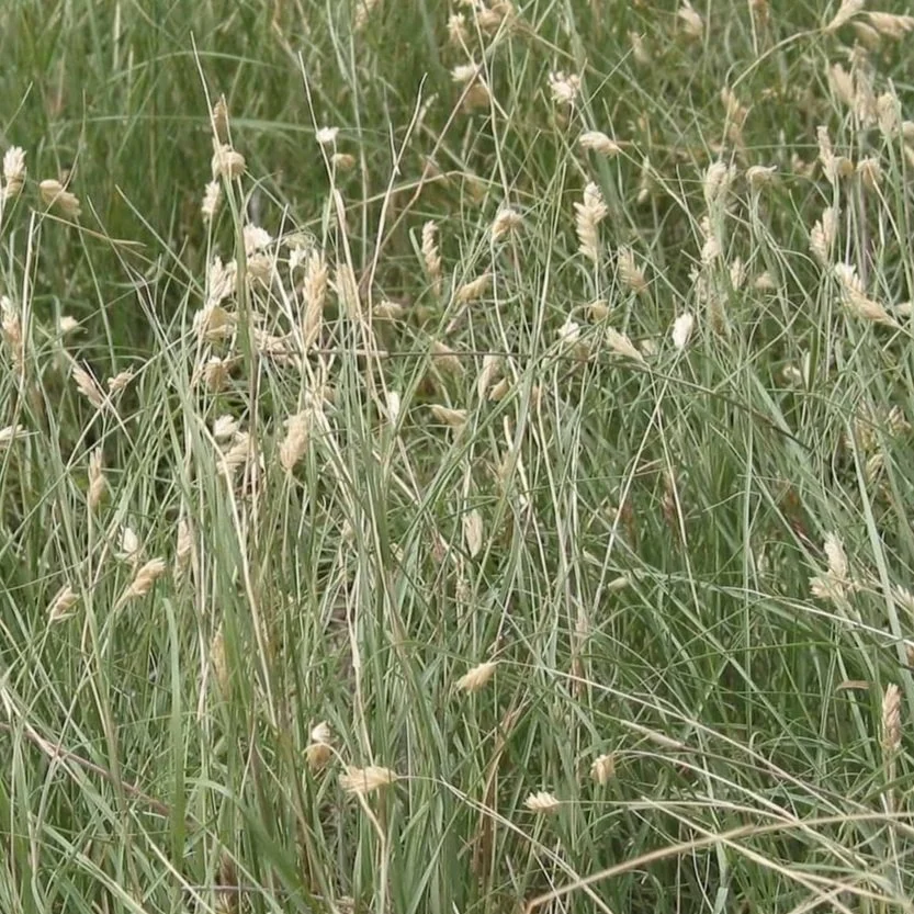 About Us — Payne Ranch