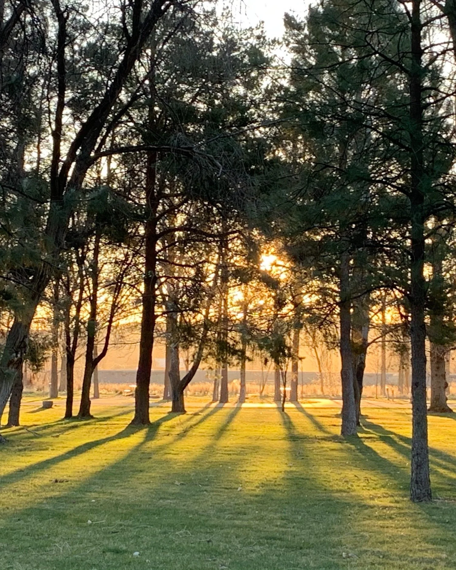 Intro — Redemptive Compassion®