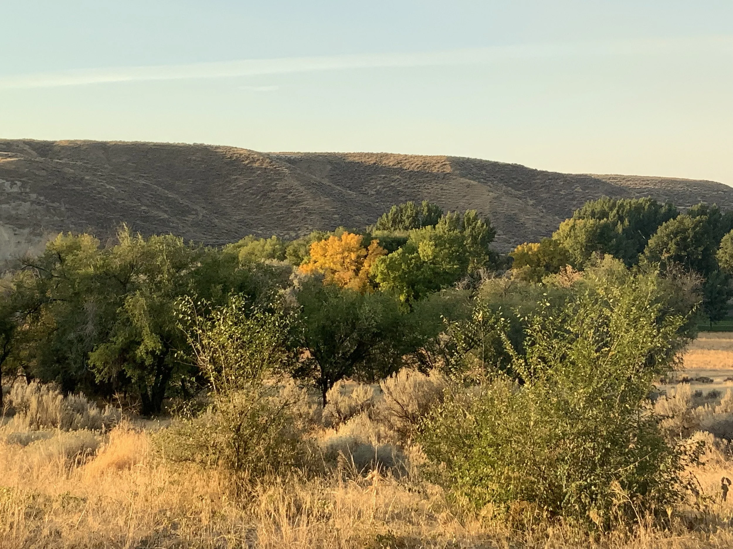 Redemptive Compassion®