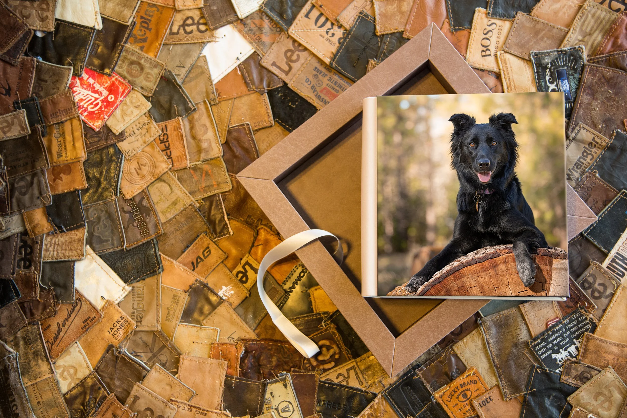 Fur Real Life Photography