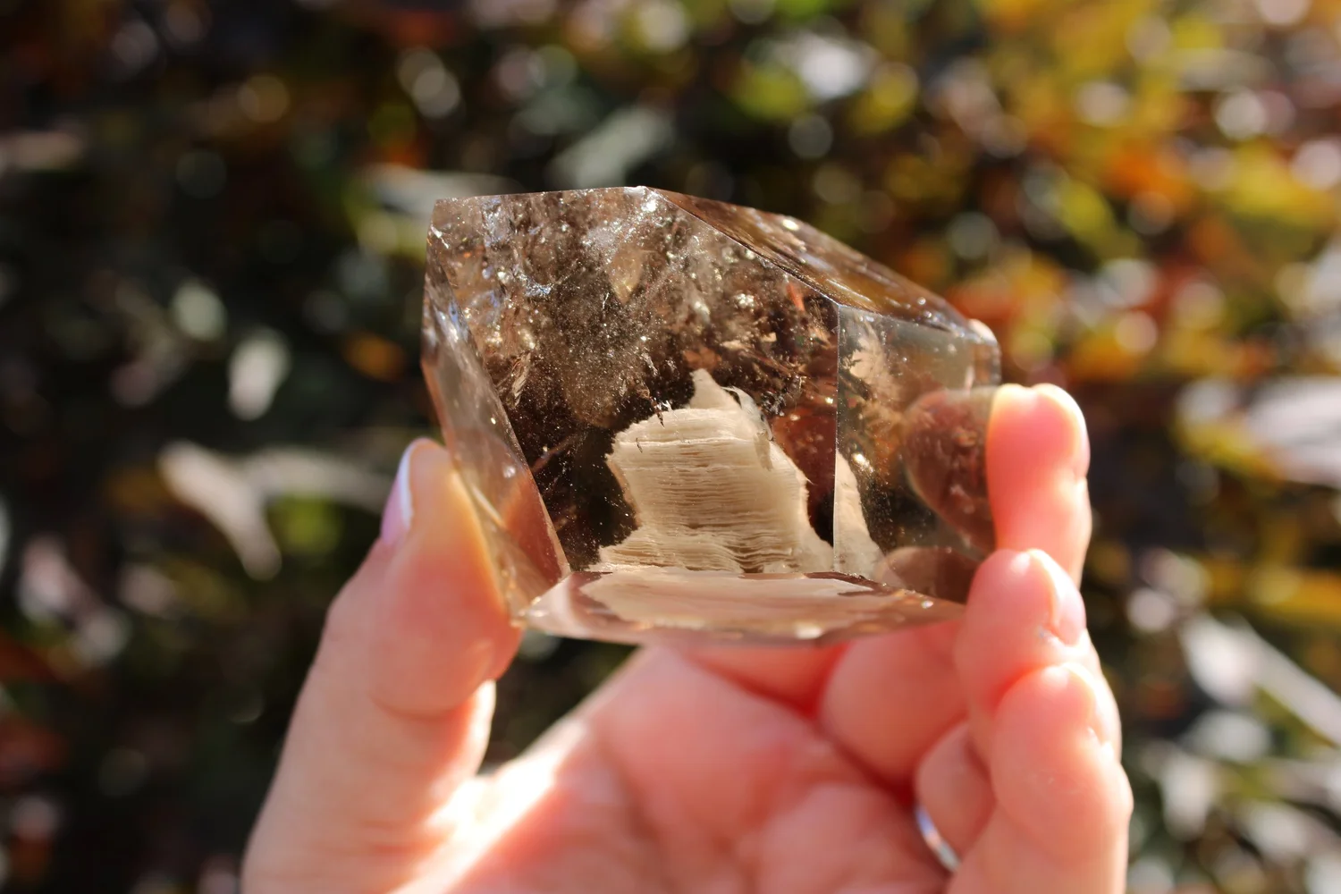 Garden Quartz Palm Stones! Wow-Amazing Scenery! (YOU CHOOSE!) — GeeBeez ...