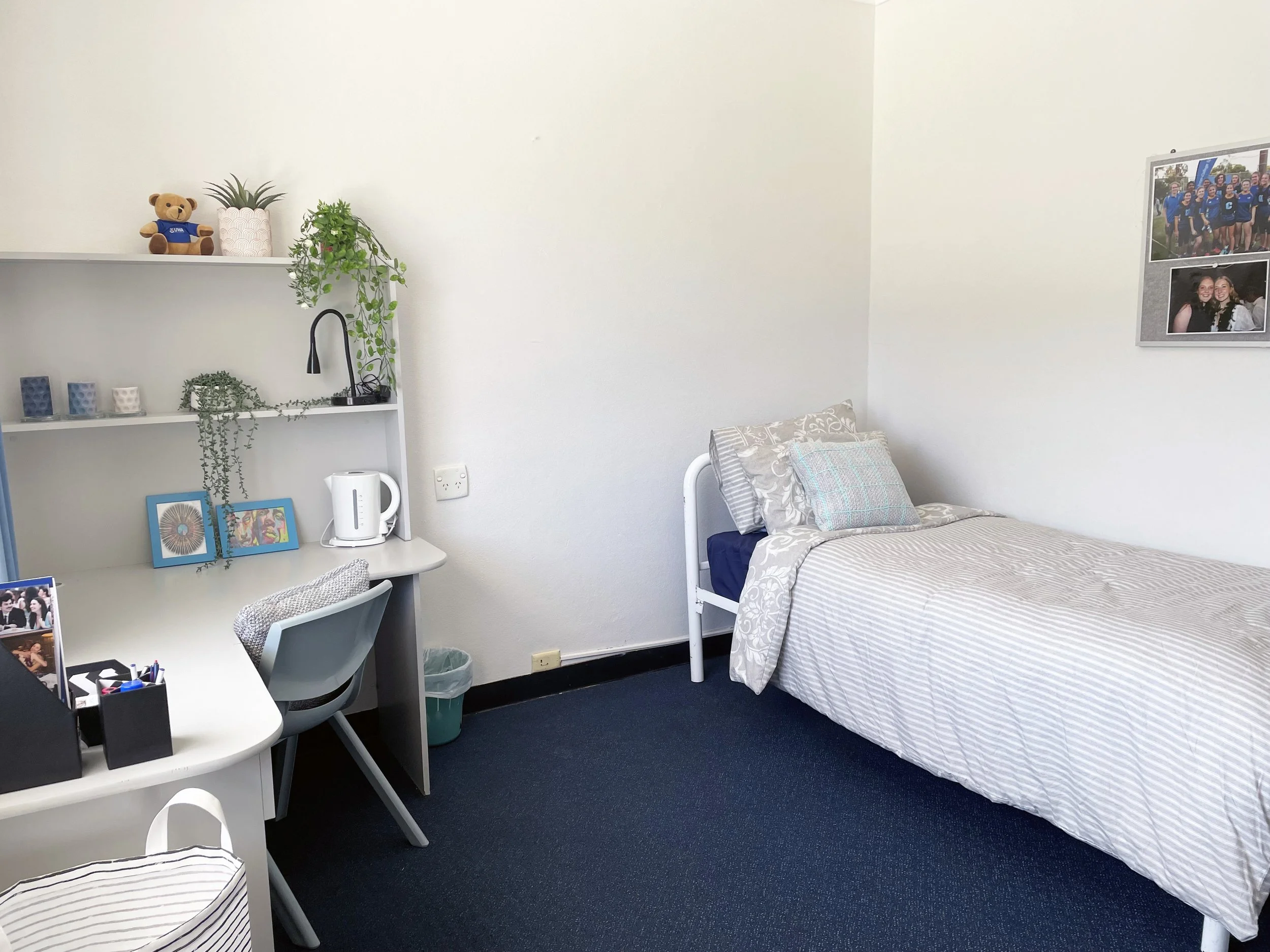 Virtual Tour of College — St Thomas More College