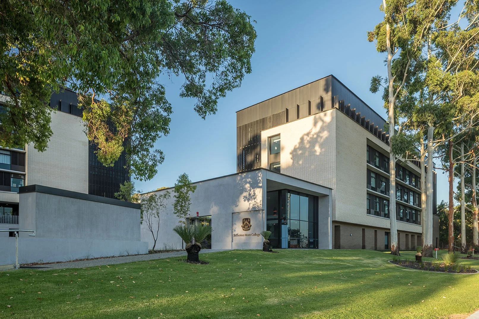 About Tommy More — St Thomas More College