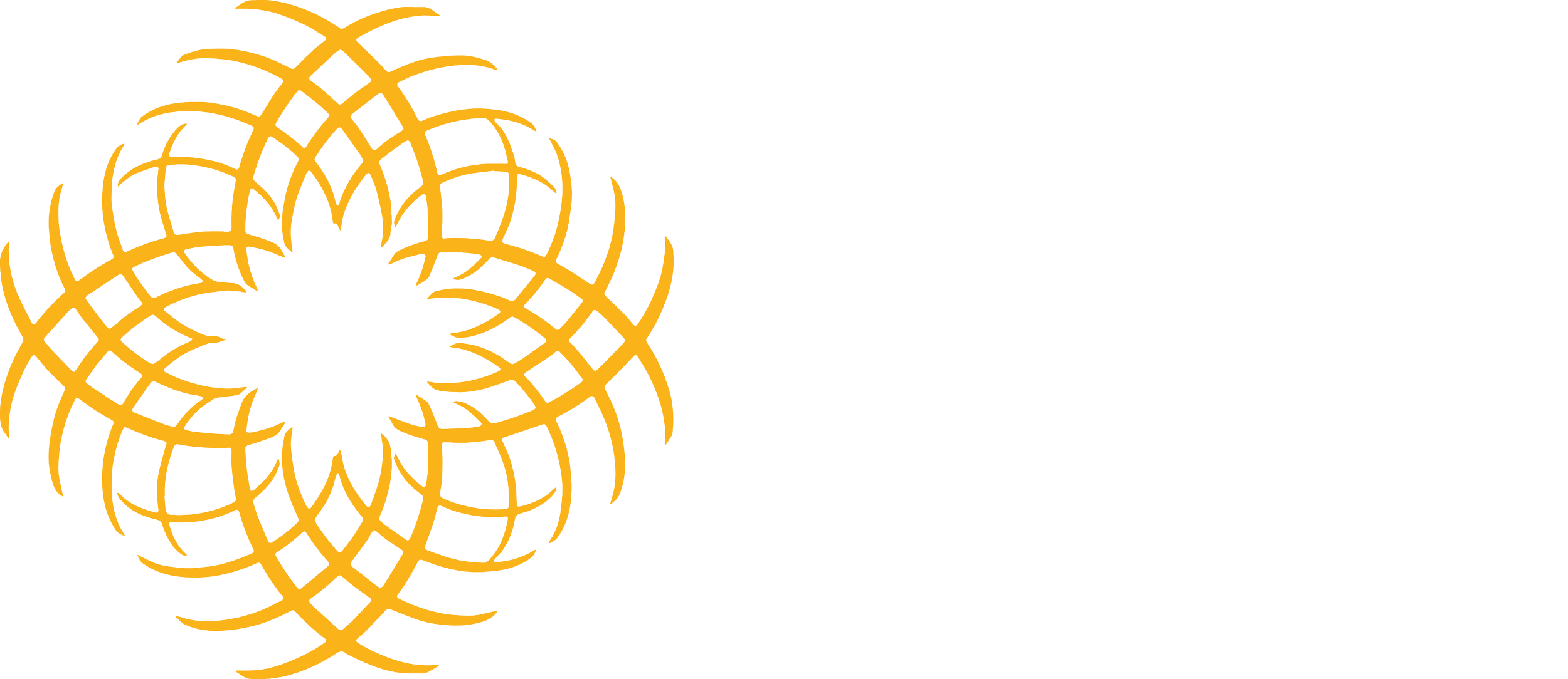 Metro Pain Group