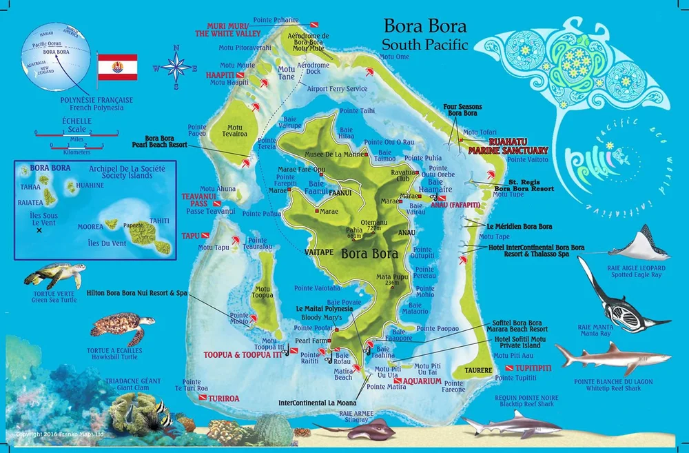 Bora Bora Wildlife Safari — WATERBORN EXPEDITIONS