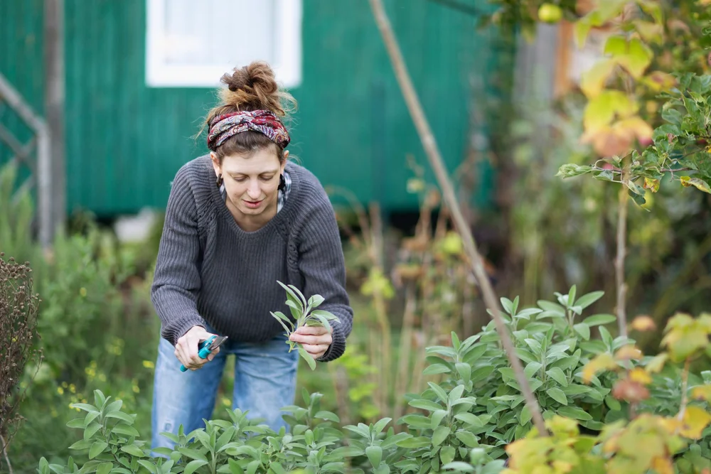 Our Programs — Blind Bight Community Centre