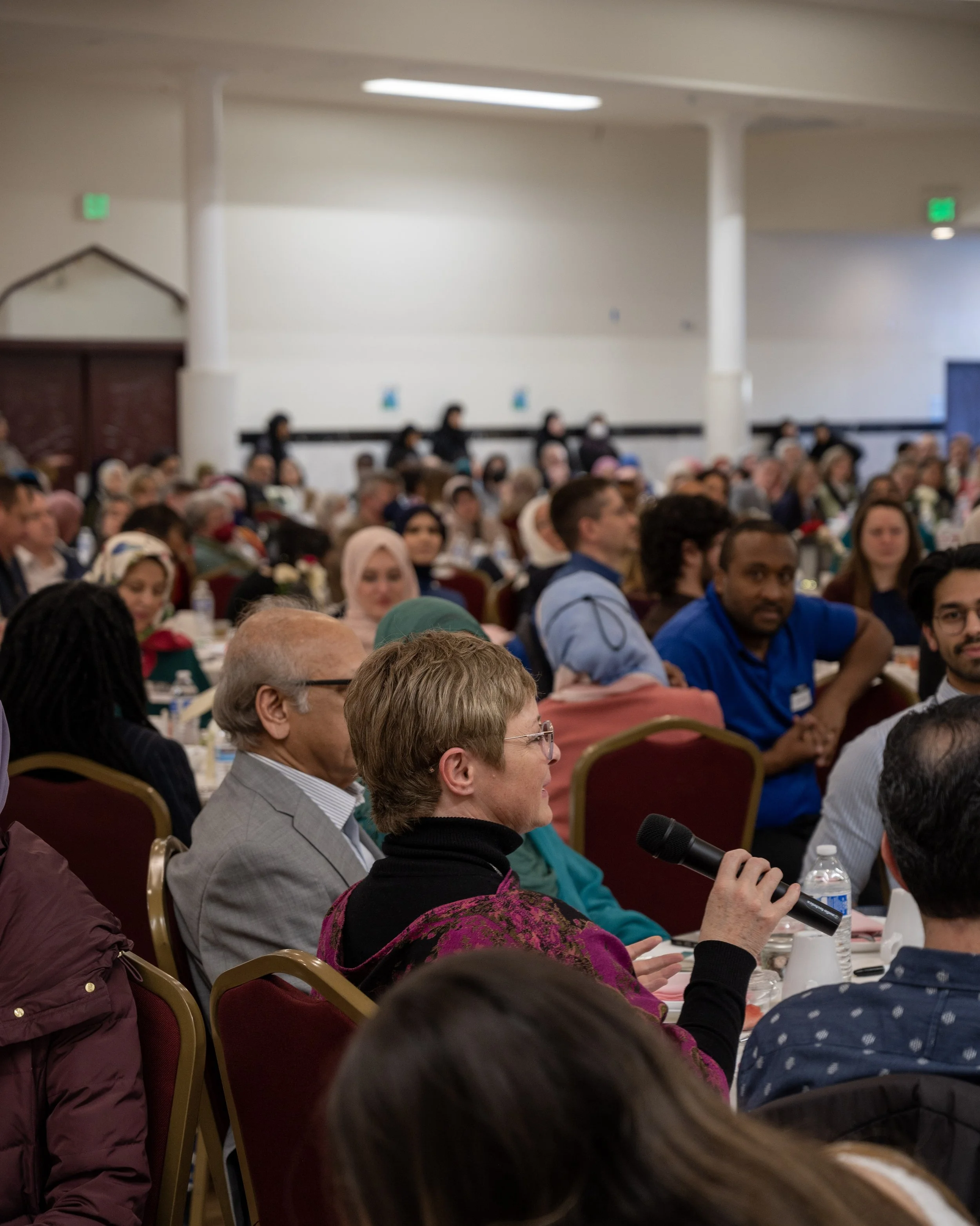 The Archive — Haroon Ameer Photography