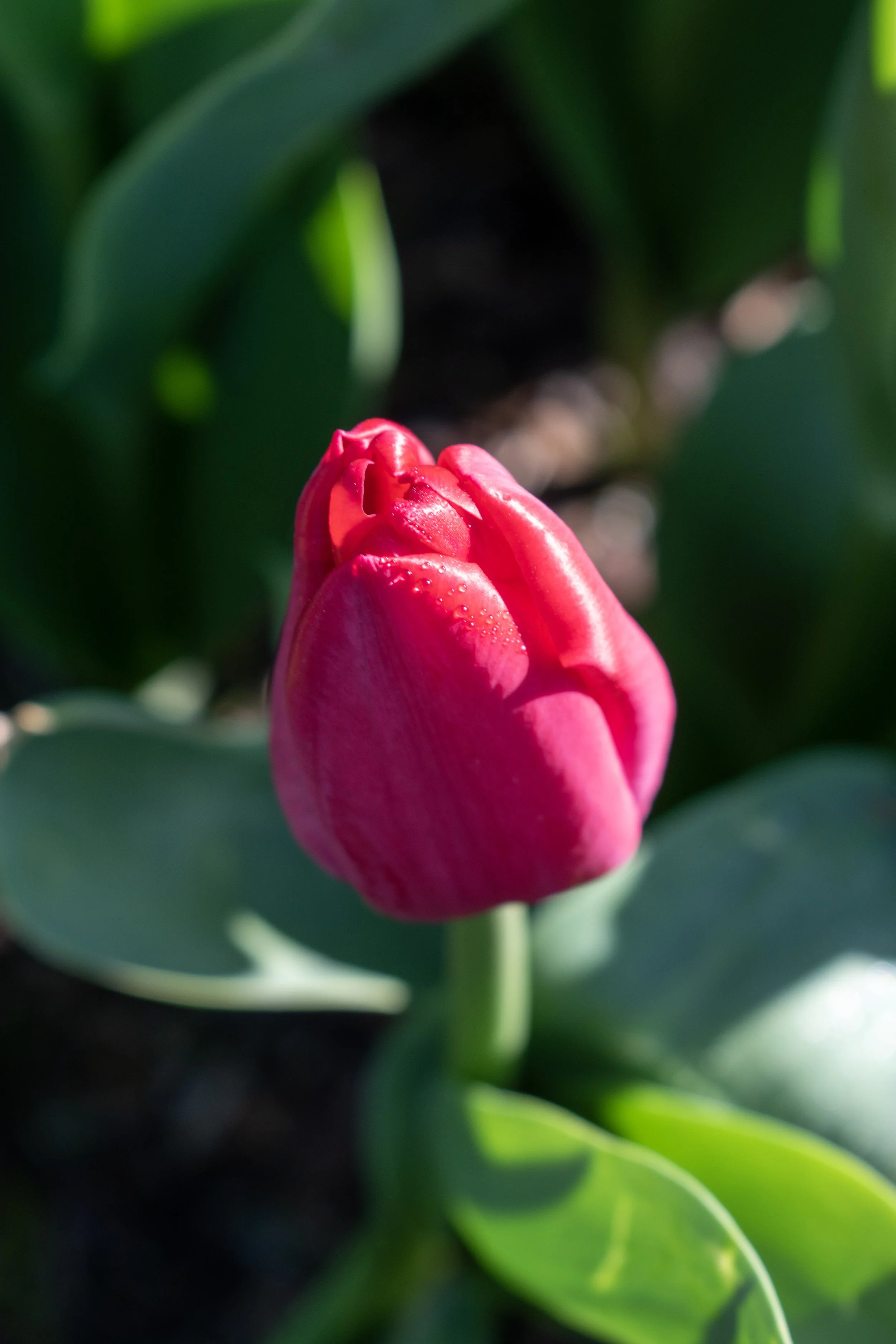 The Archive — Haroon Ameer Photography