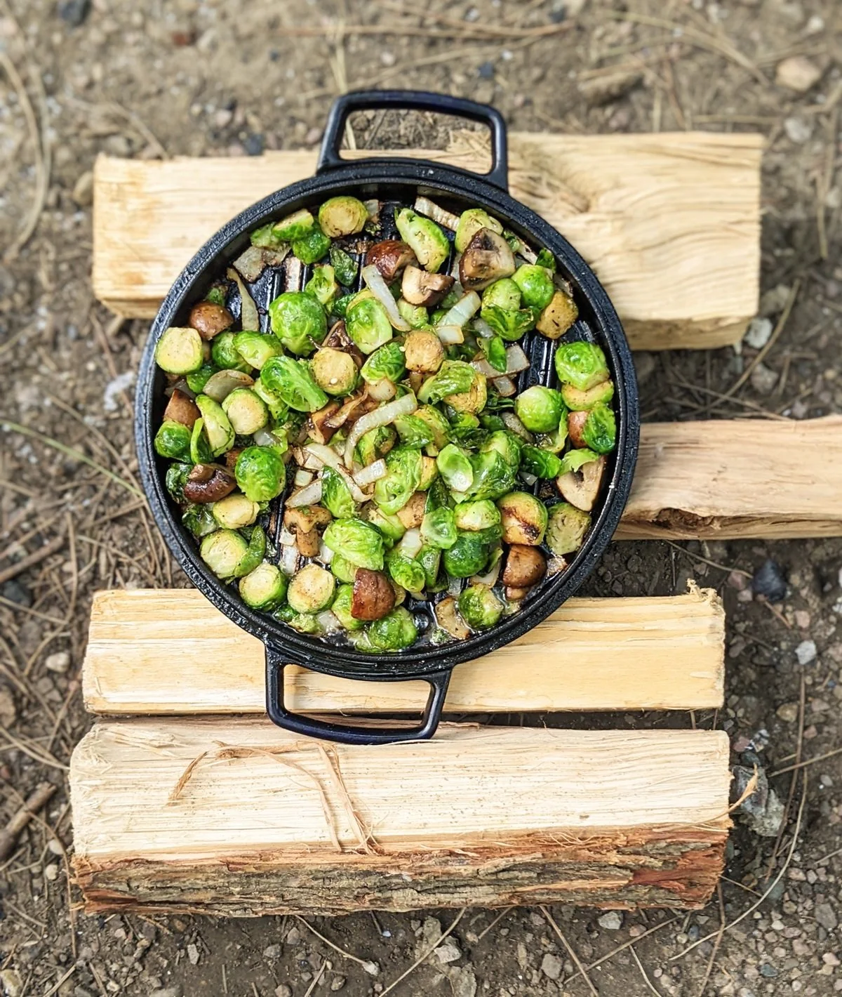 Bacon Fat Brussels Sprouts with Onions and Mushrooms Recipe — One ...