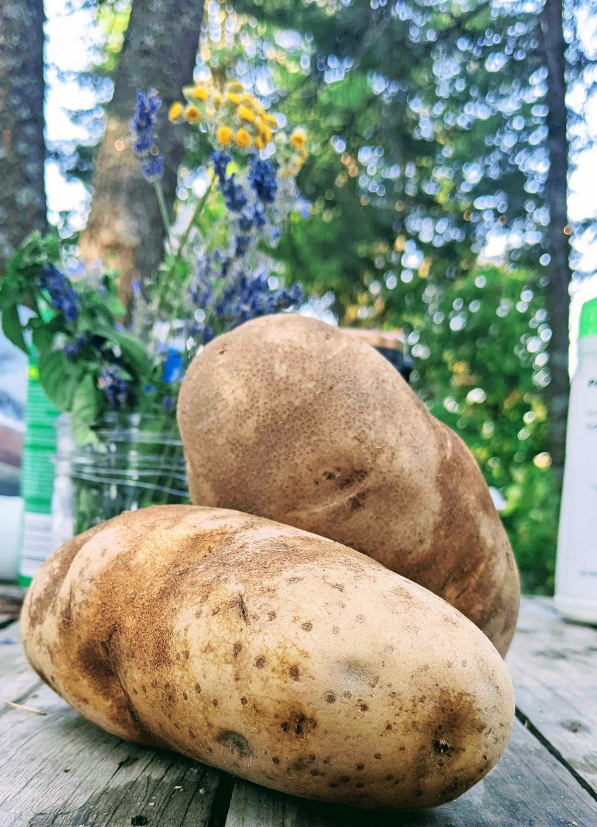 Easy Grilled Potato Wedges Recipe