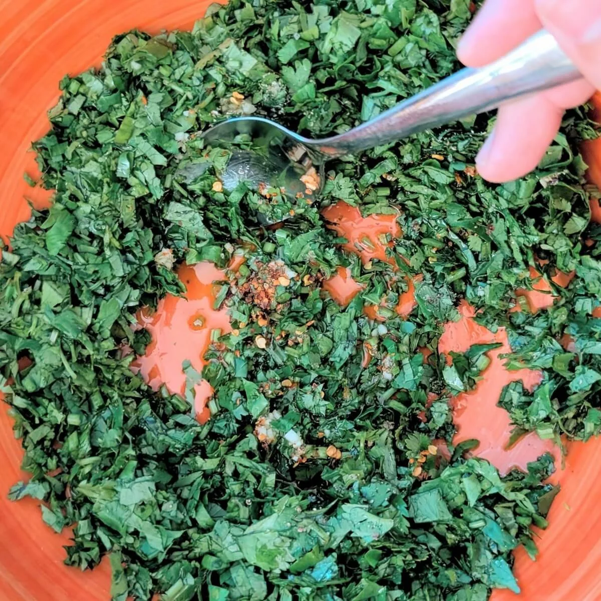 Authentic Zhoug Recipe (Spicy Cilantro Sauce)