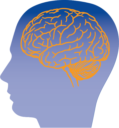 stroke-information-northwestern-ontario-regional-stroke-network