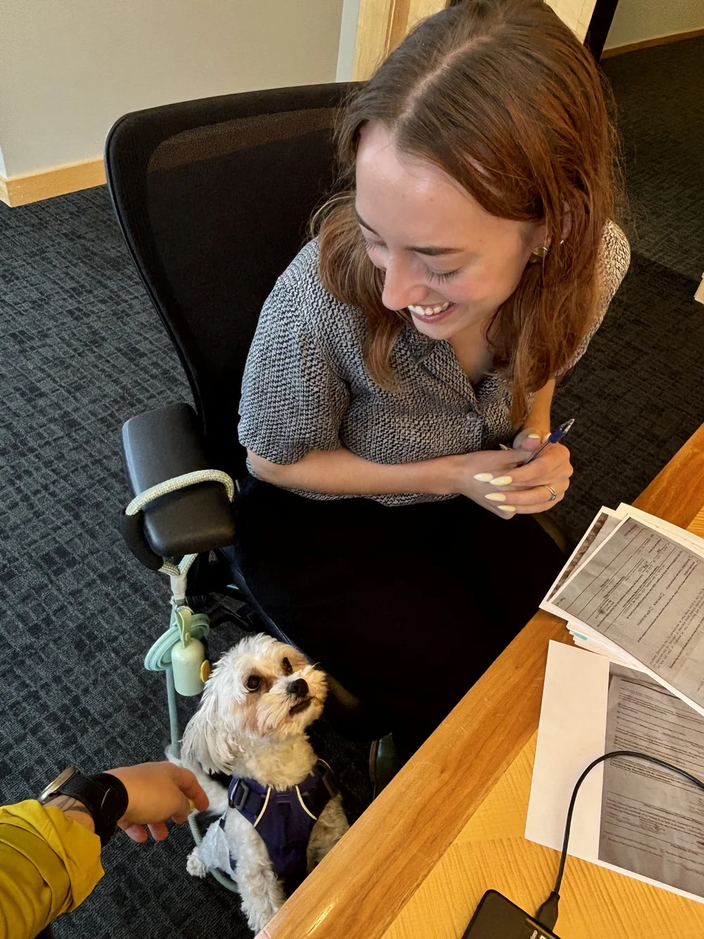 Vermont Asylum Assistance Project