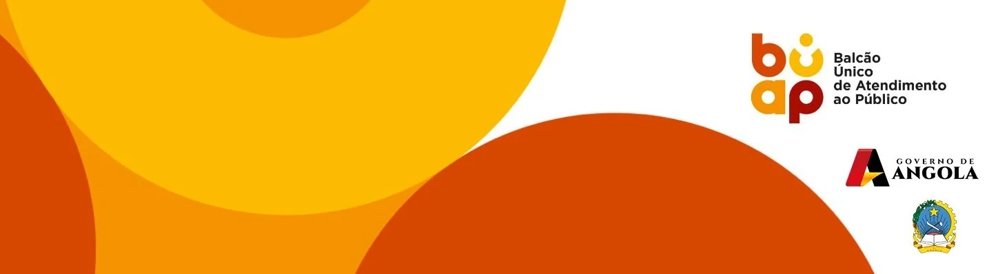 Projecto BUAP — SINFIC - Sistemas de Informação Industriais SA