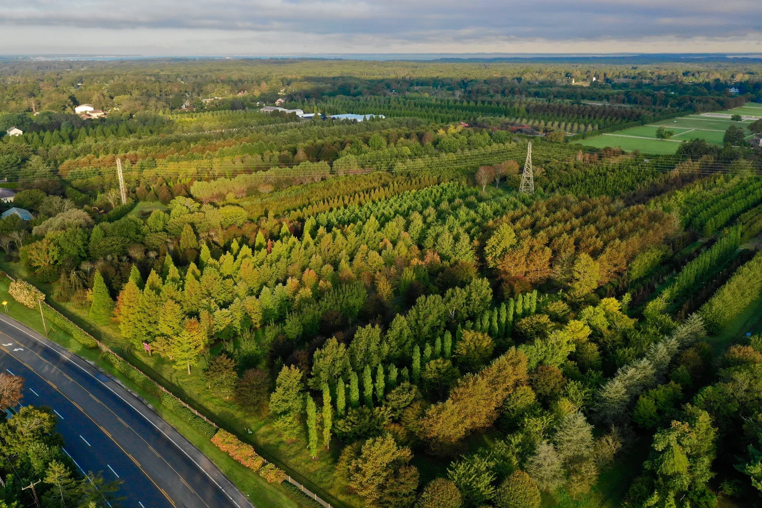 Our Farms — Warrens Nursery