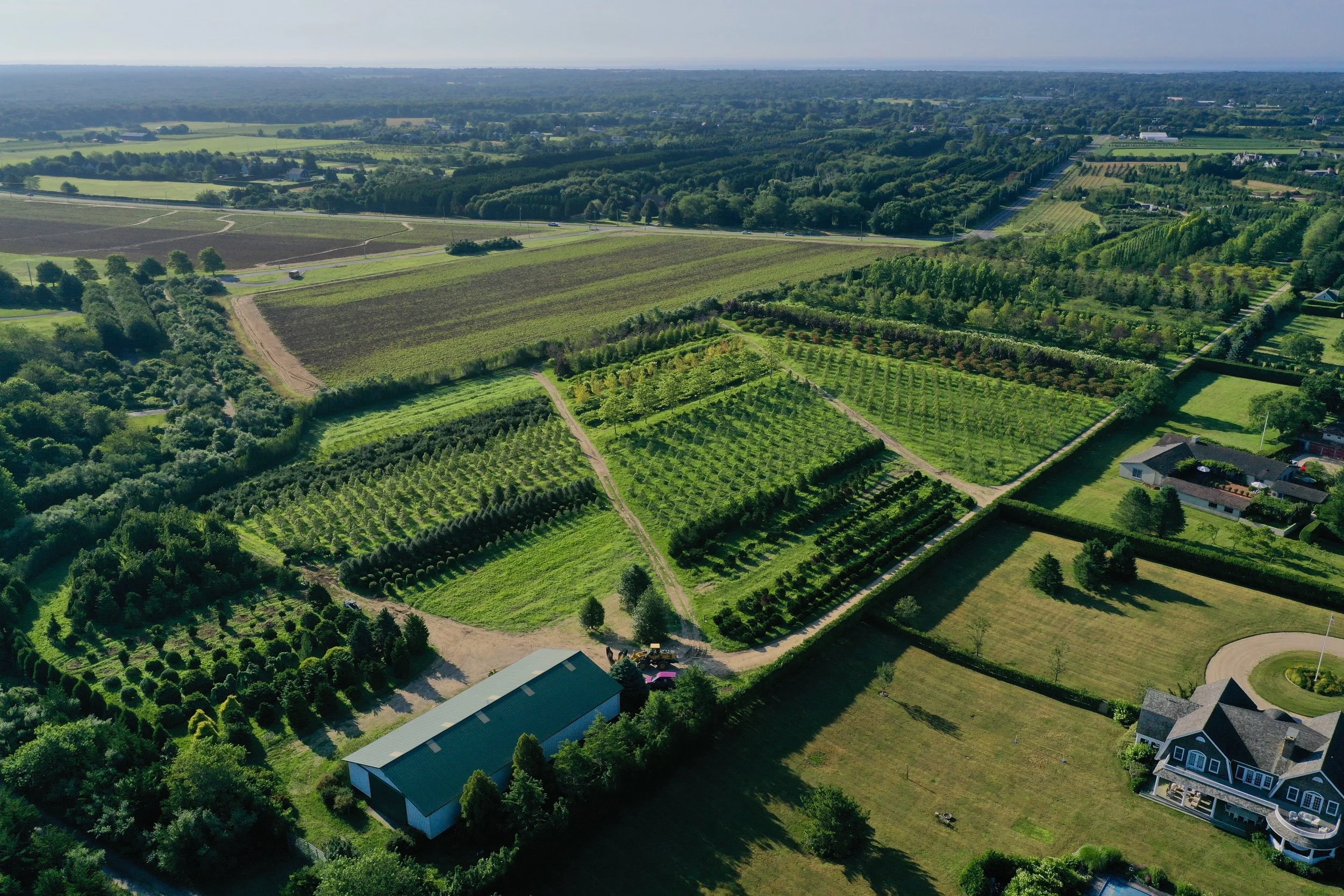 Our Story — Warrens Nursery