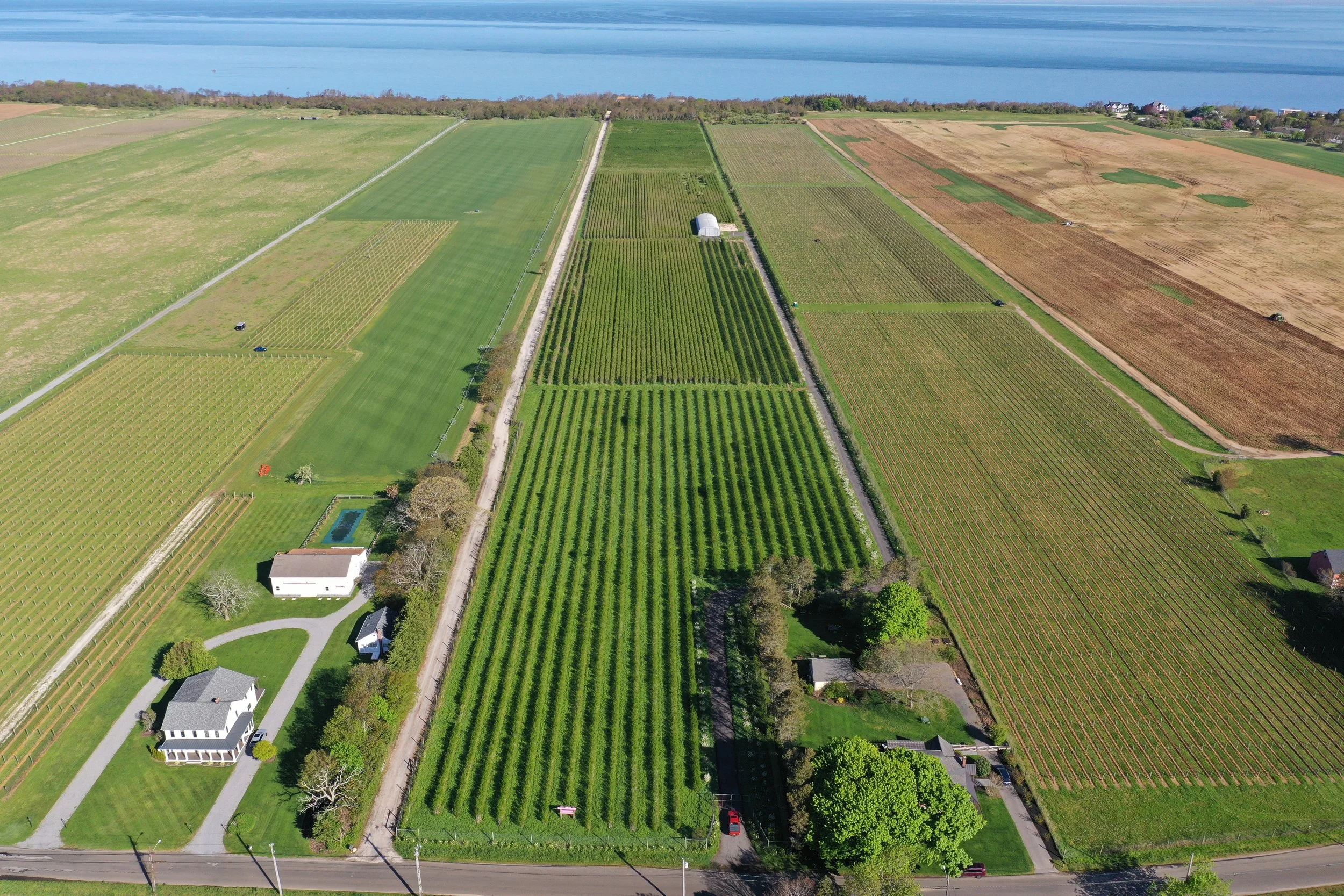 Our Farms — Warrens Nursery