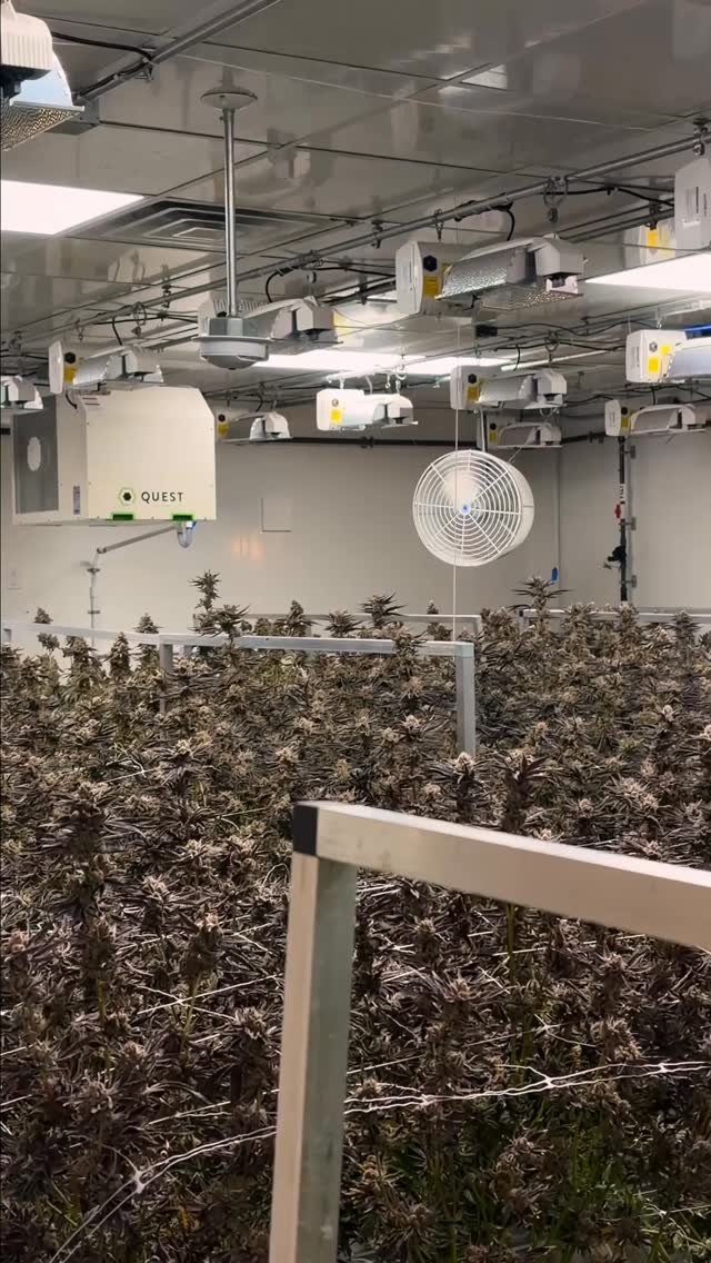 Affinity Grow