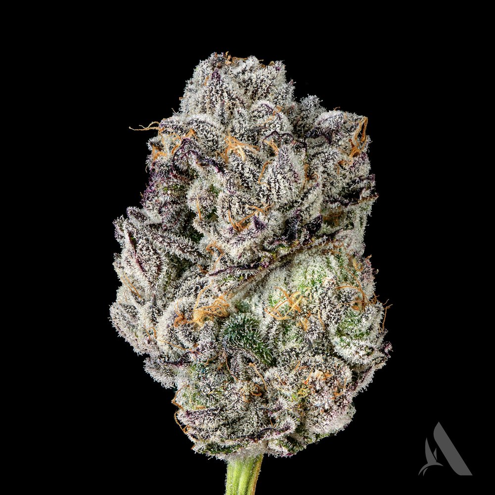 MAC Stomper — Affinity Grow