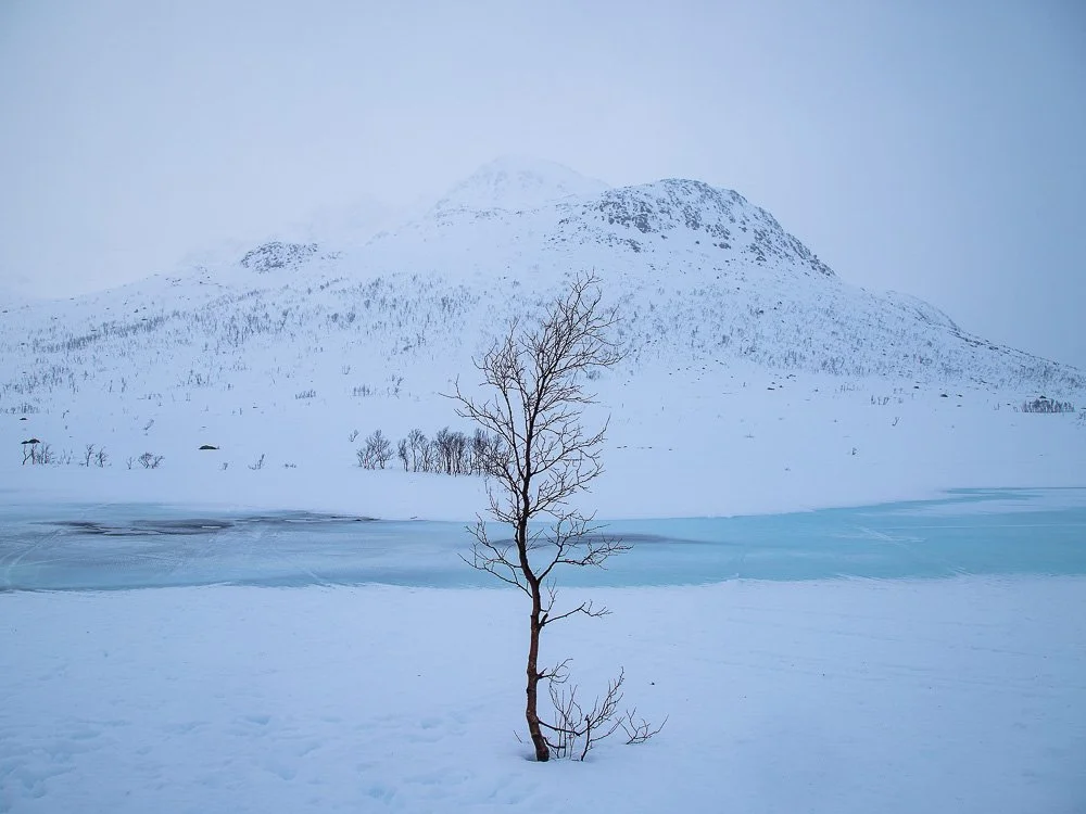 PRIVATE Arctic Photography Tour | Arctic Photo Guide - Small group ...