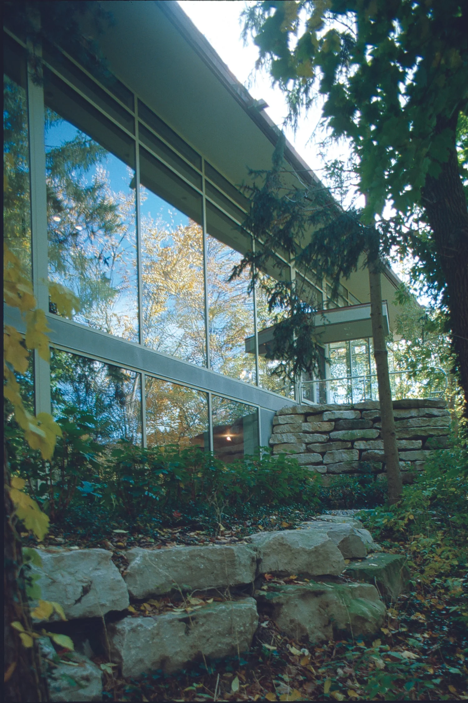THE WILLITS RESIDENCE — YOUNG & YOUNG ARCHITECTS