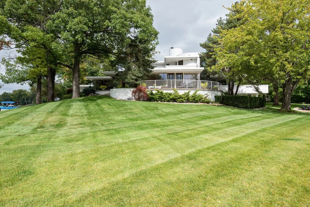 DETROIT MODERN — YOUNG & YOUNG ARCHITECTS