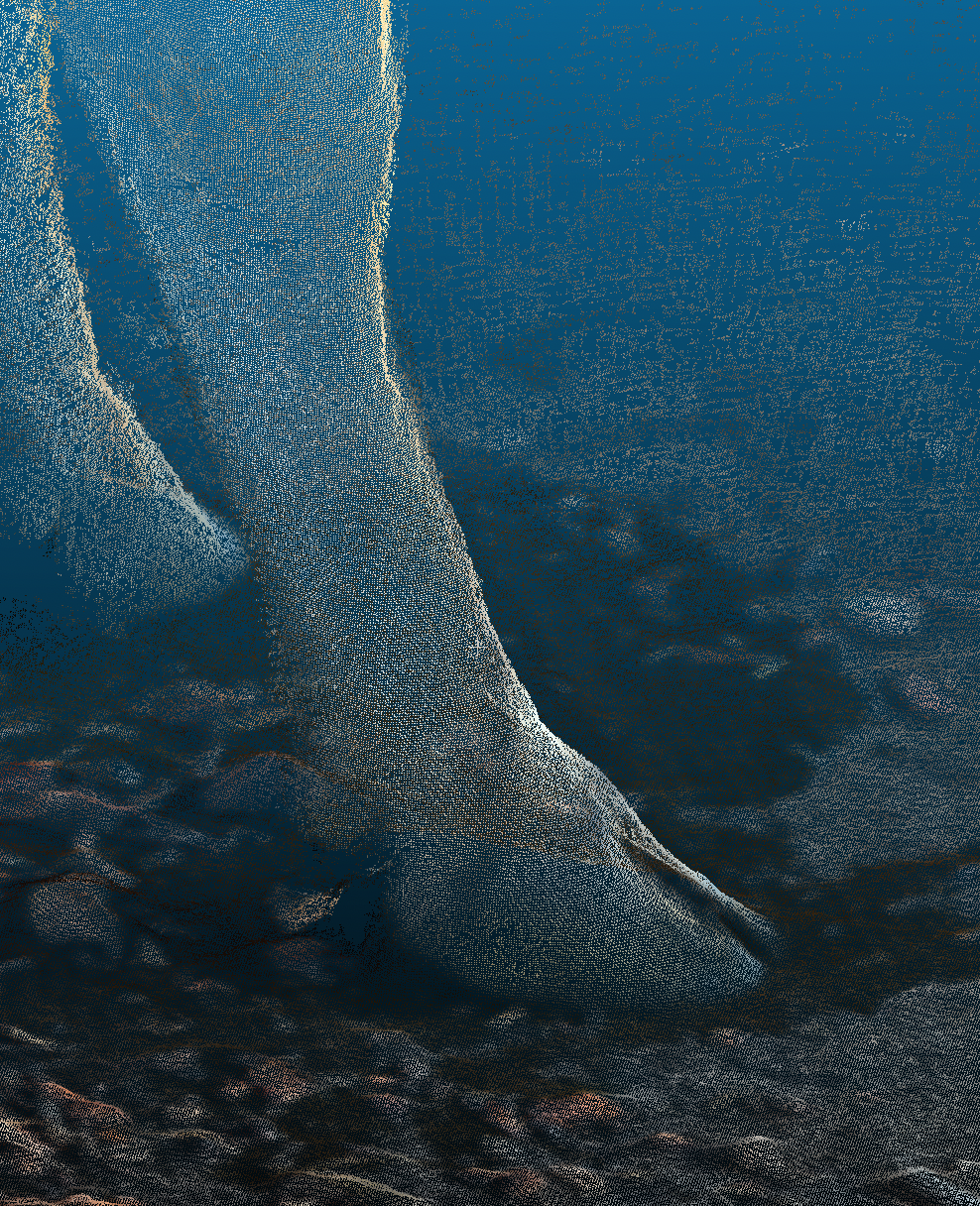 Catie McVey Is Helping Cattle Farmers Build More Resilient Cows — Activate