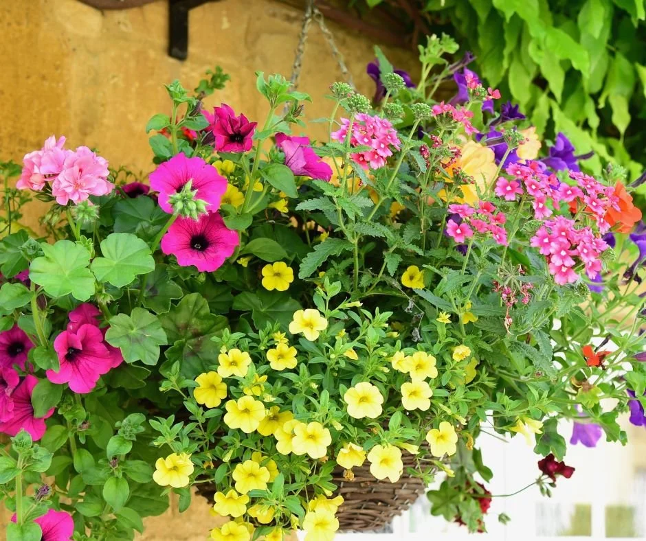 Farrill's Sunrise Nursery and Garden Center
