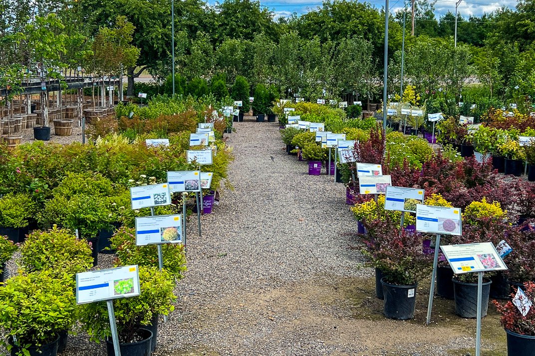 Farrill's Sunrise Nursery and Garden Center